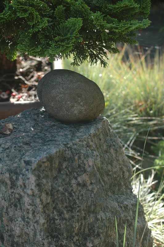 HAVETID: Sten og planter.