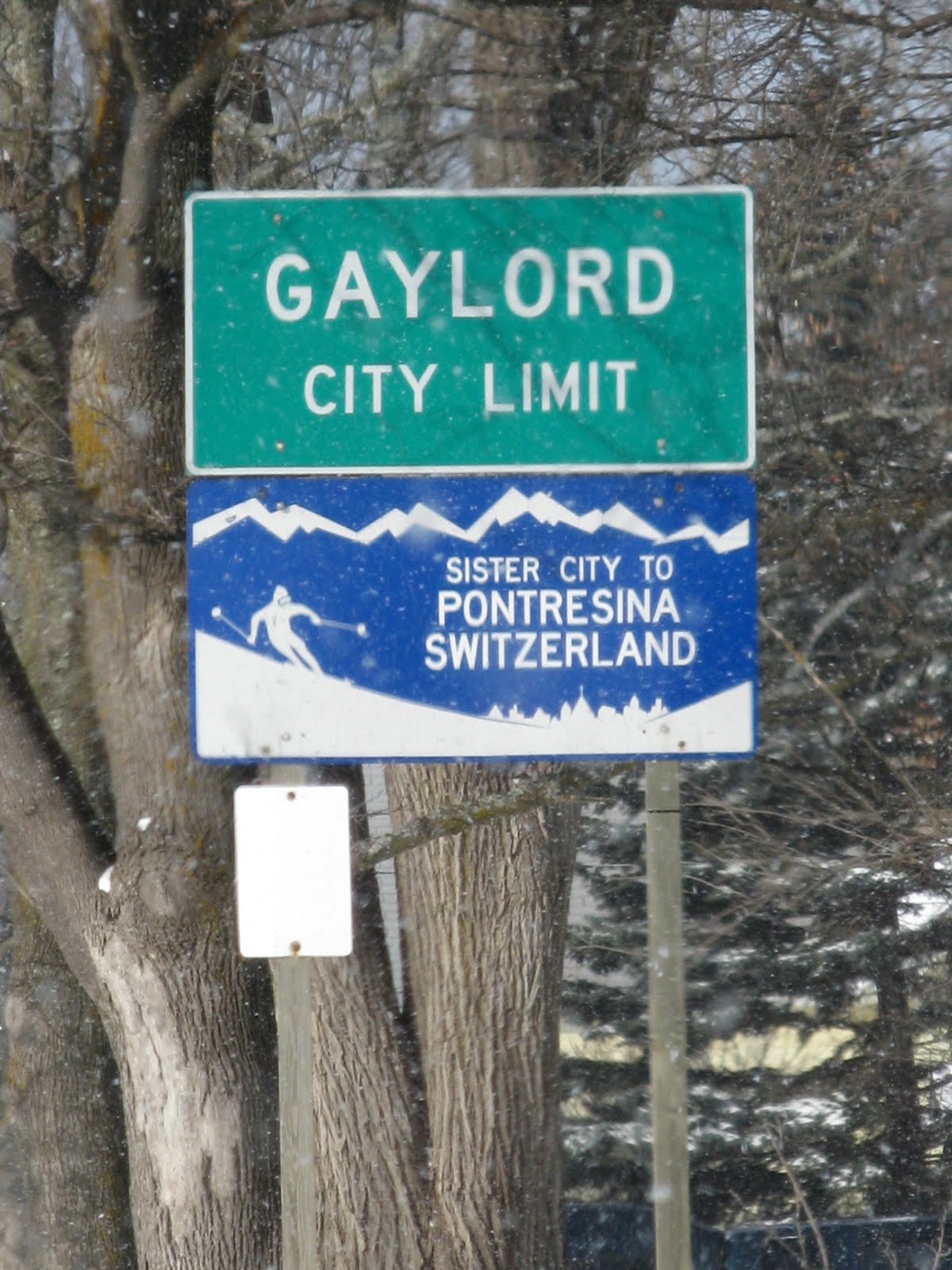 this gaylord : r/funny