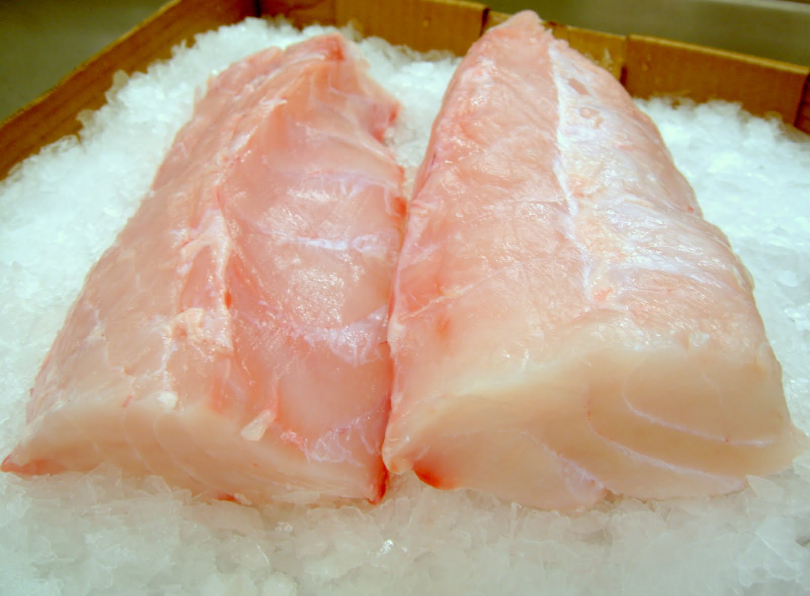 Grouper Fish Taste - Frozen Grouper Supplier, Grouper Fish Indonesia ...
