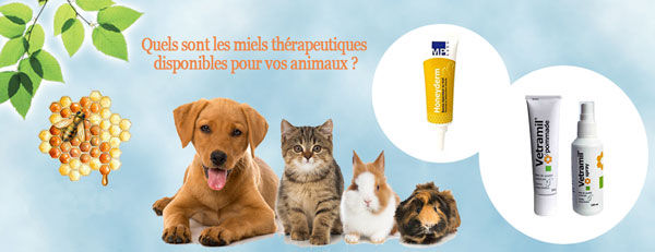 Dogteur: Traiter et soigner son animal avec du Miel