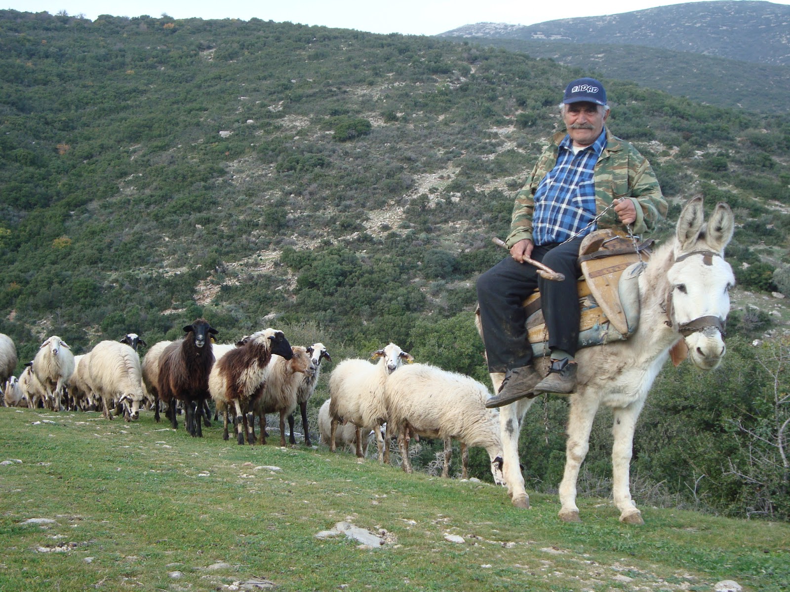 Ονοματολογικά και ιστορικά του Σκουταριού Σερρών (Συνεργασία του ...