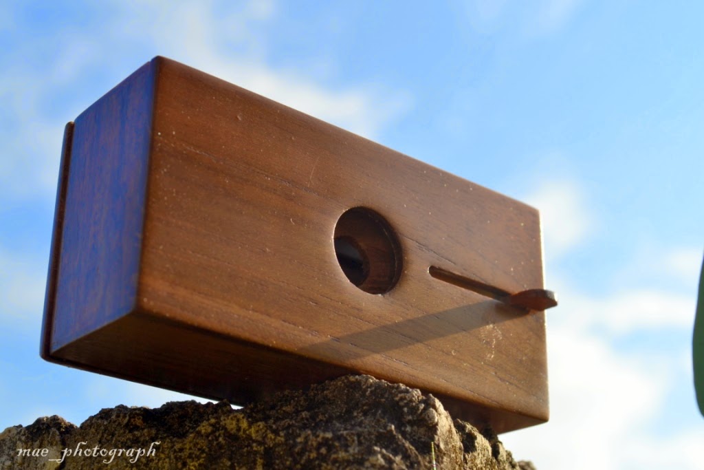 NEO Pinhole Camera: Edisi Kotak Kayu