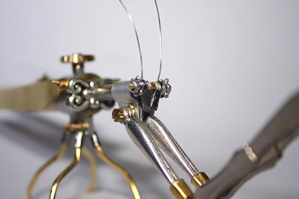 LA CIENCIA DE LA VIDA: Insectos steampunk de Tom Hardwidge