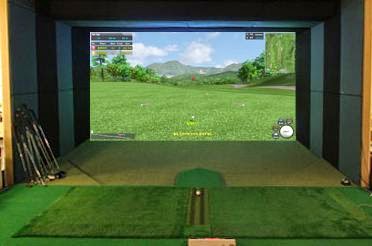 SCREEN GOLF