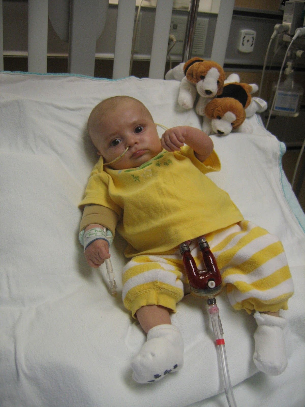 Donald Lepp...My World: Russell's Story