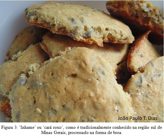 BRASIL AGRÍCOLA: DESCRIÇÃO, IMPORTÂNCIA E USOS DE INHAMES