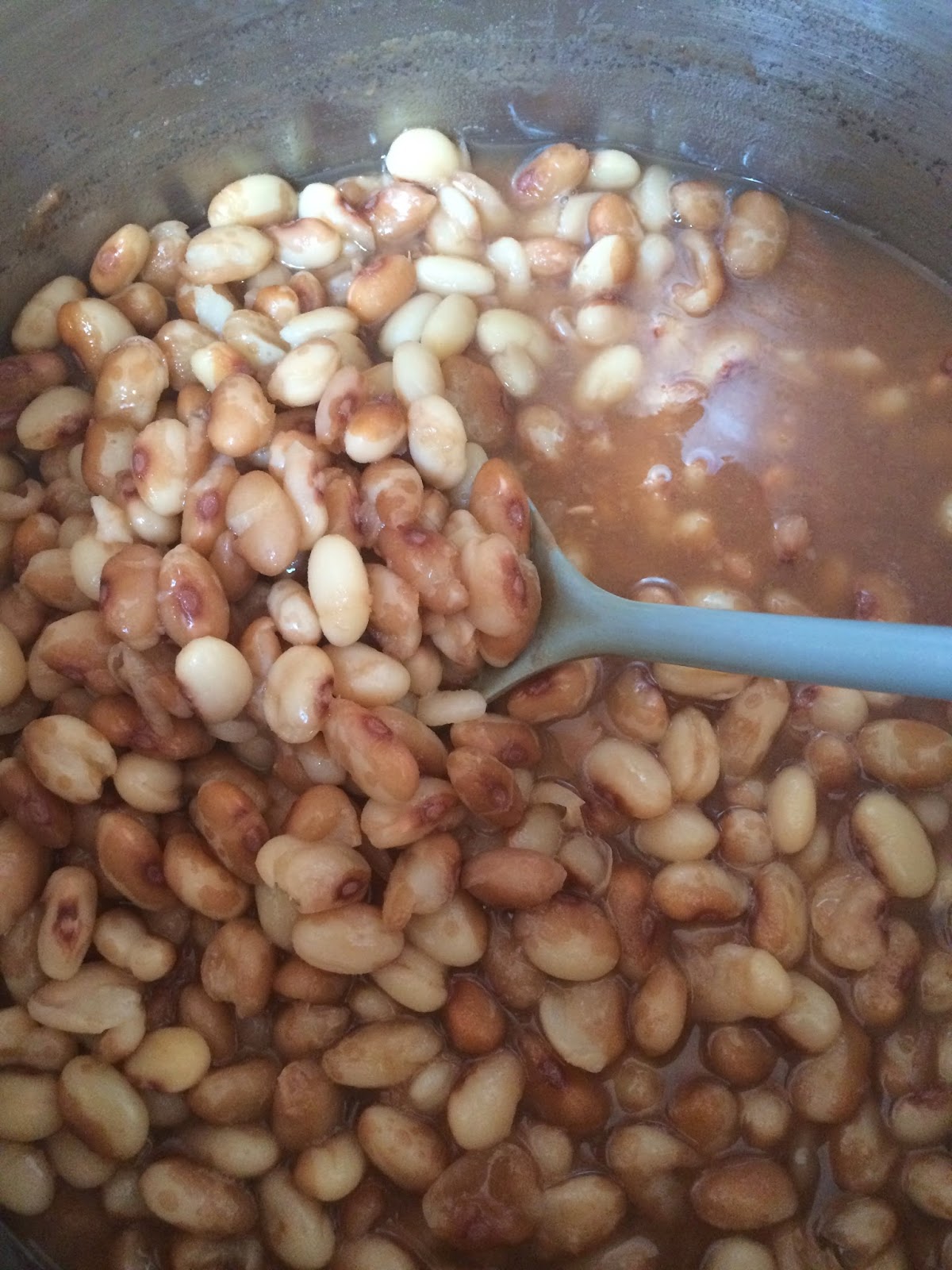 The Legume Diary: Week 13: Dapple Grey Beans