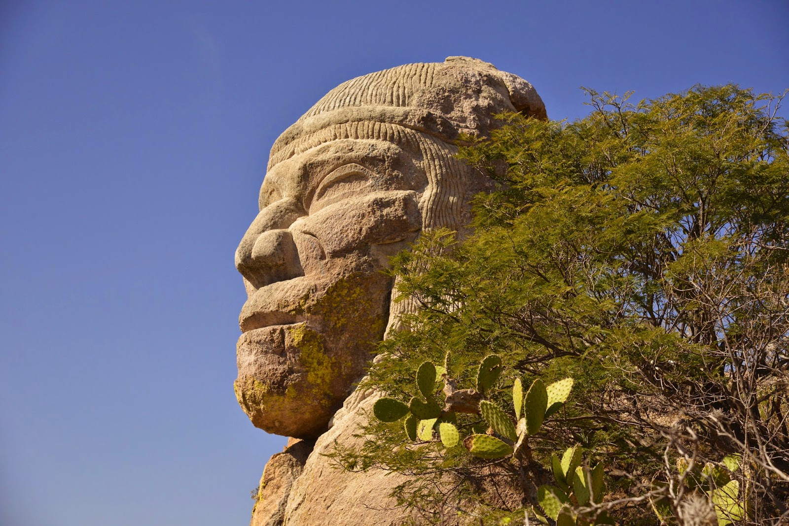 CABEZA DE PIEDRA CHICHIMECA EN AGUASCALIENTES MEXICO