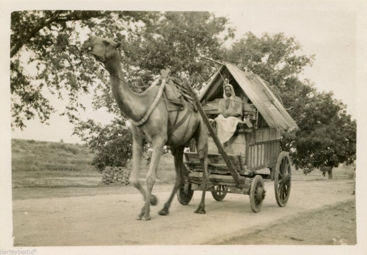 Camel Drawn Wagon - India c1940's - Old Indian Photos