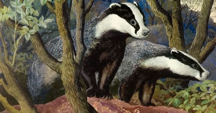 Better View of the Moon: Pursuing the mission-driven life