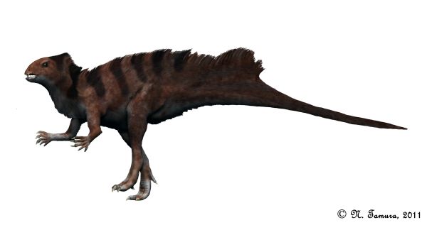 Paleoexhibit: Manidens condorensis