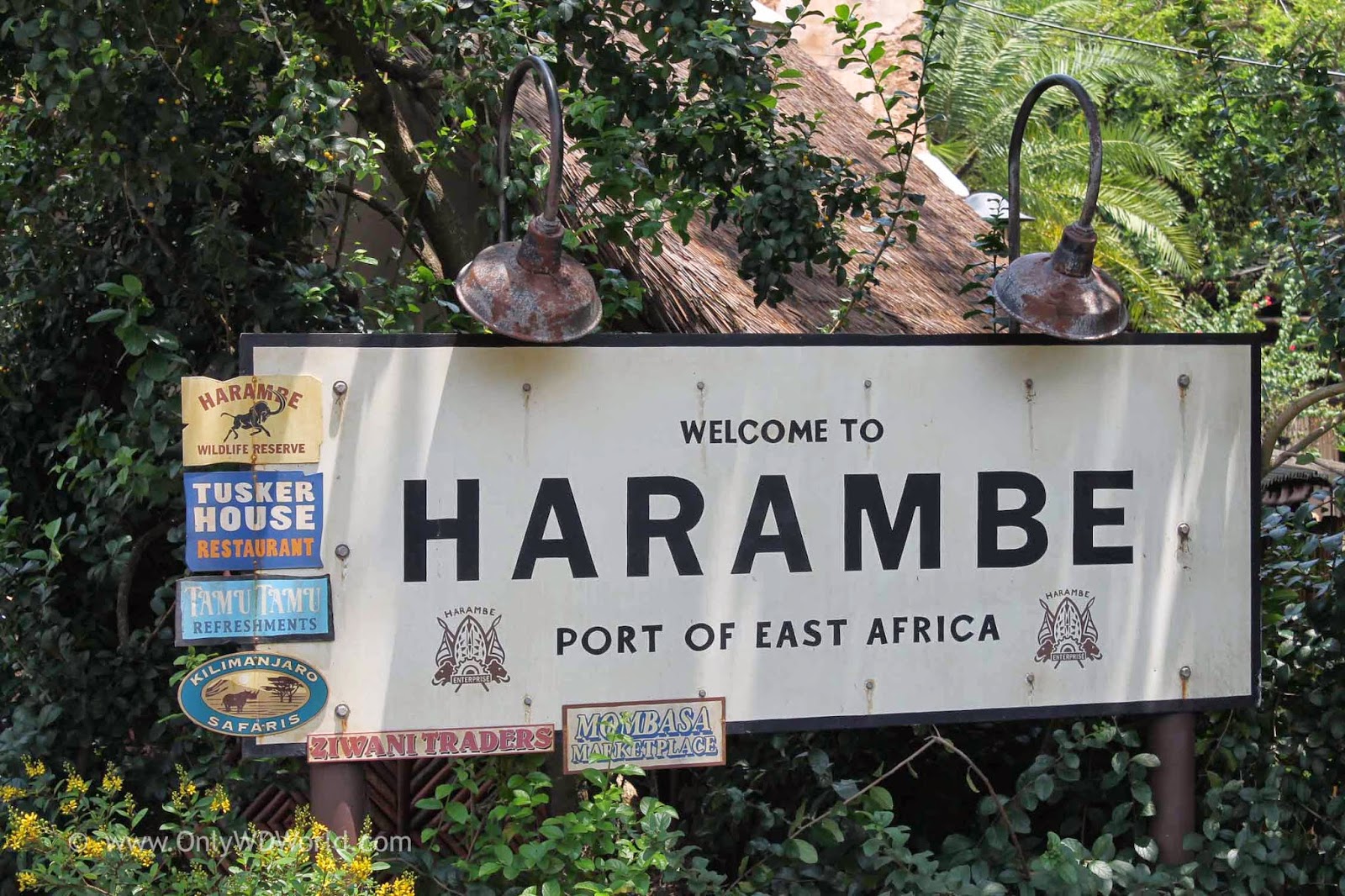 East Africa will Never Forget : r/Harambe