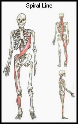 Dynamic Balance Blog: July 2014