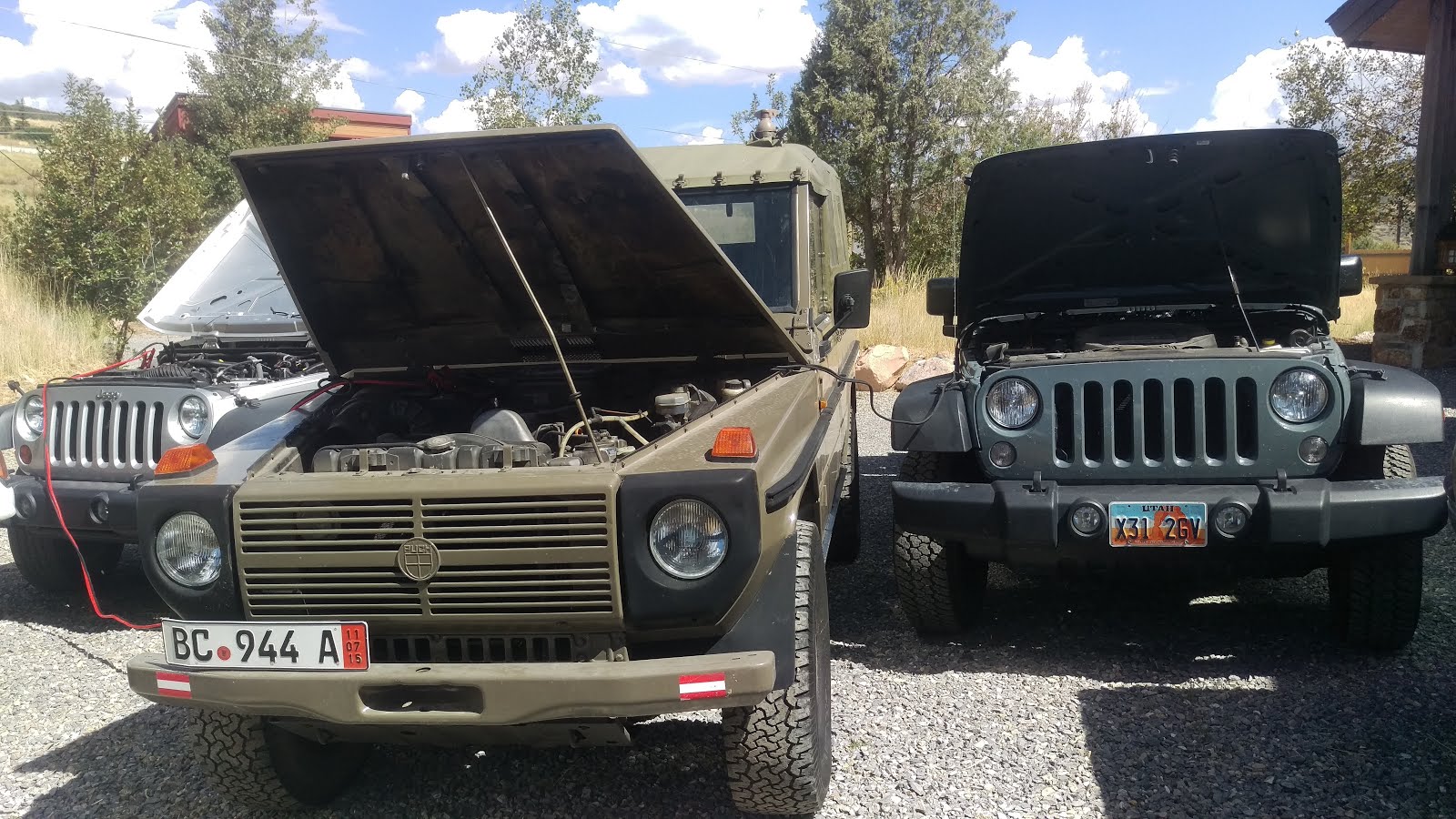 Snow G-Wagon: The Turtle - W641 Puch 300GD