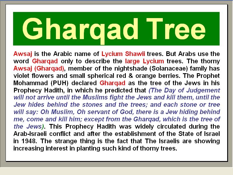 Funny Urdu Jokes and Latifey: Urdu Funny post