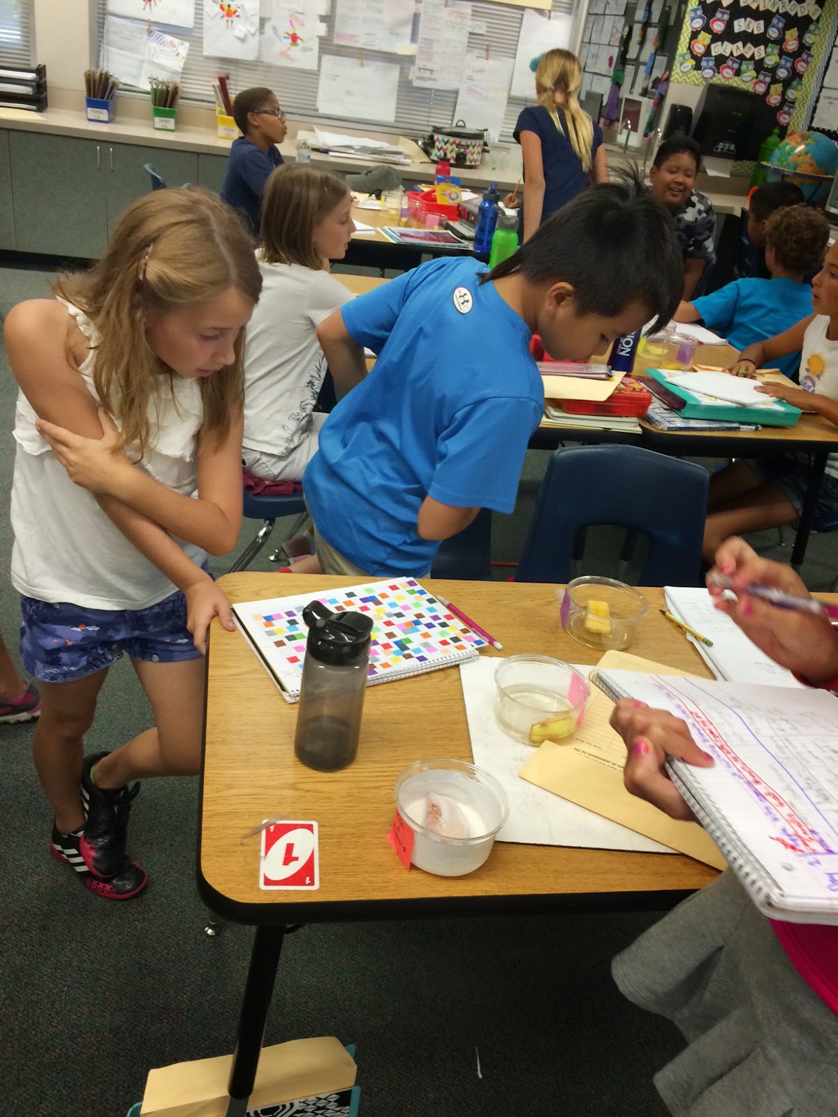 Ms. Spinrod's Class: Apple Lab