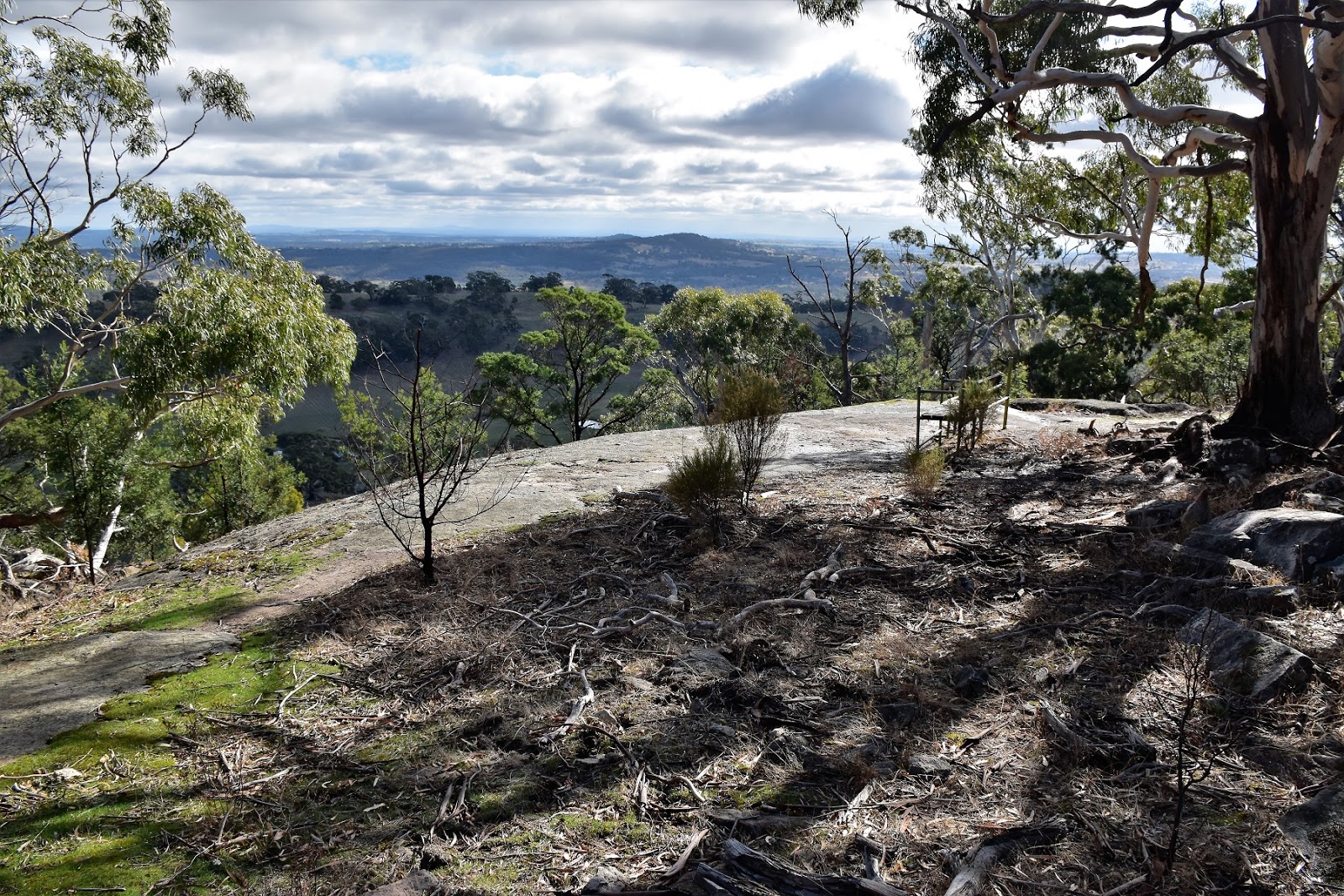 Goin' Feral One Day At A Time: Mt Alexander, Mt Alexander Regional Park ...