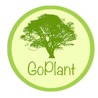 ZarX Software Engineer: Desain GoPlant Part 1