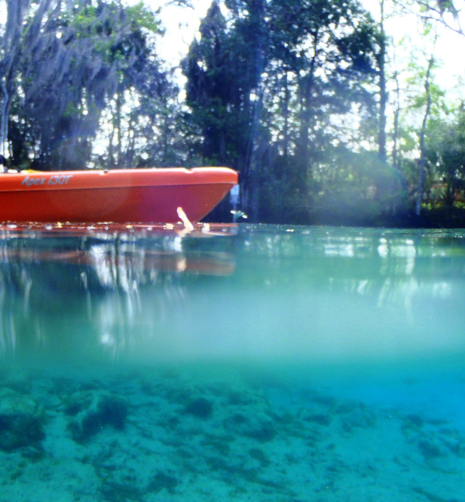 Views From Our Kayak: Crystal River