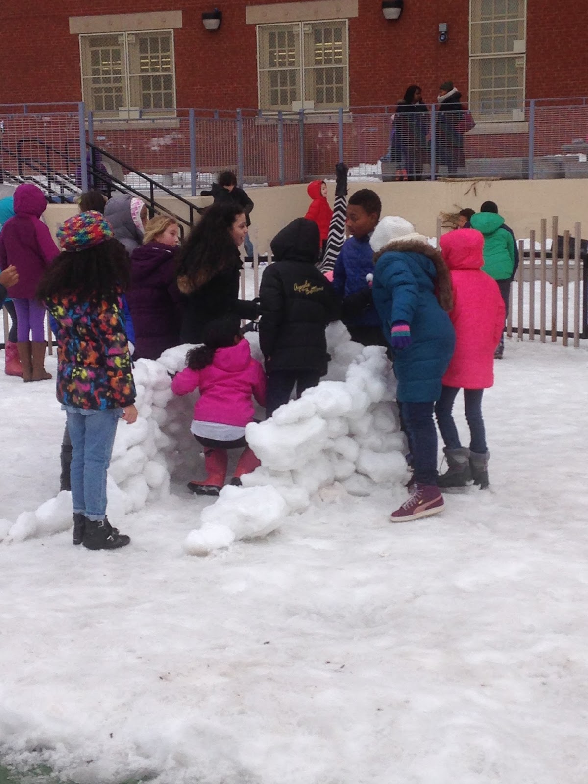 Ecorama: 4th Grade Recess: Shelter Building