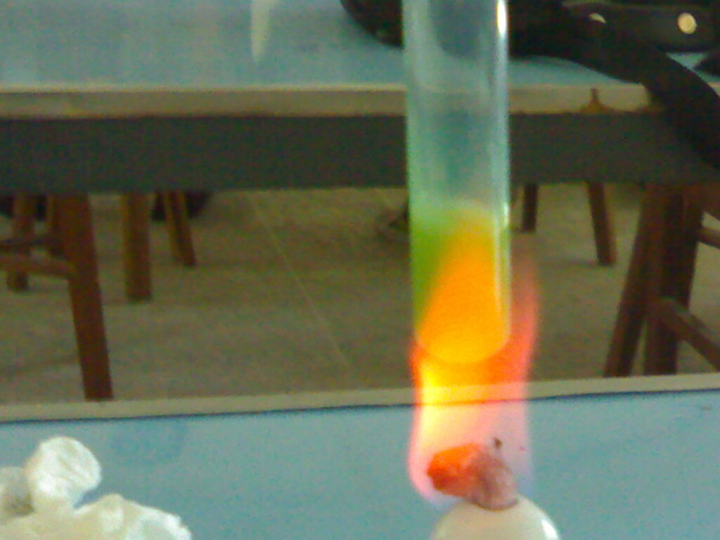 BIOLOGI GONZAGA: UJI GLUCOSA- BENEDICT