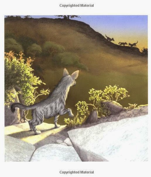 E.Crump's Literature Collection Blog