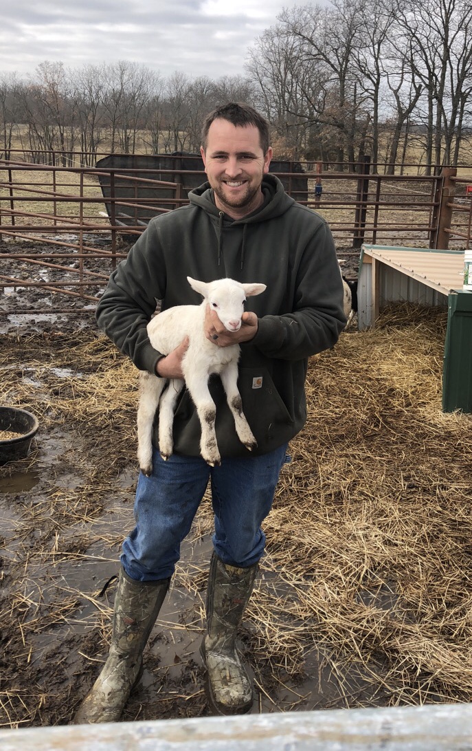 Best of February - A new lamb, calves, family events & house projects ...