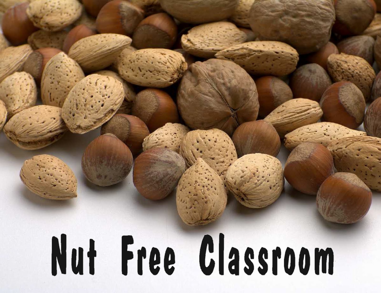 Free Posters and Signs: Nut Free Classroom