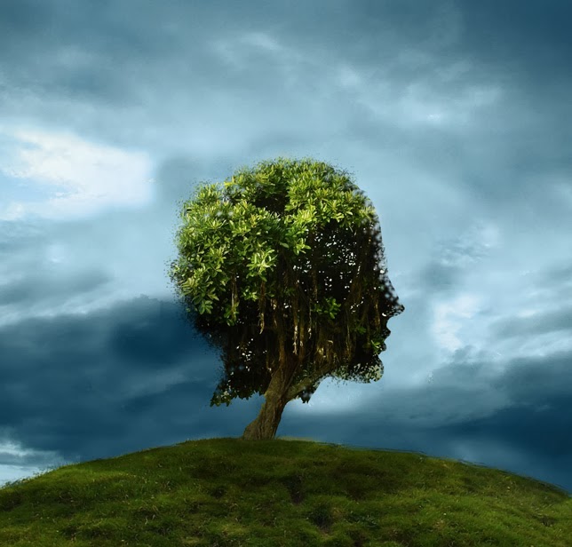 P22:6 Productions: A God Shaped Life by Michelle Rocker