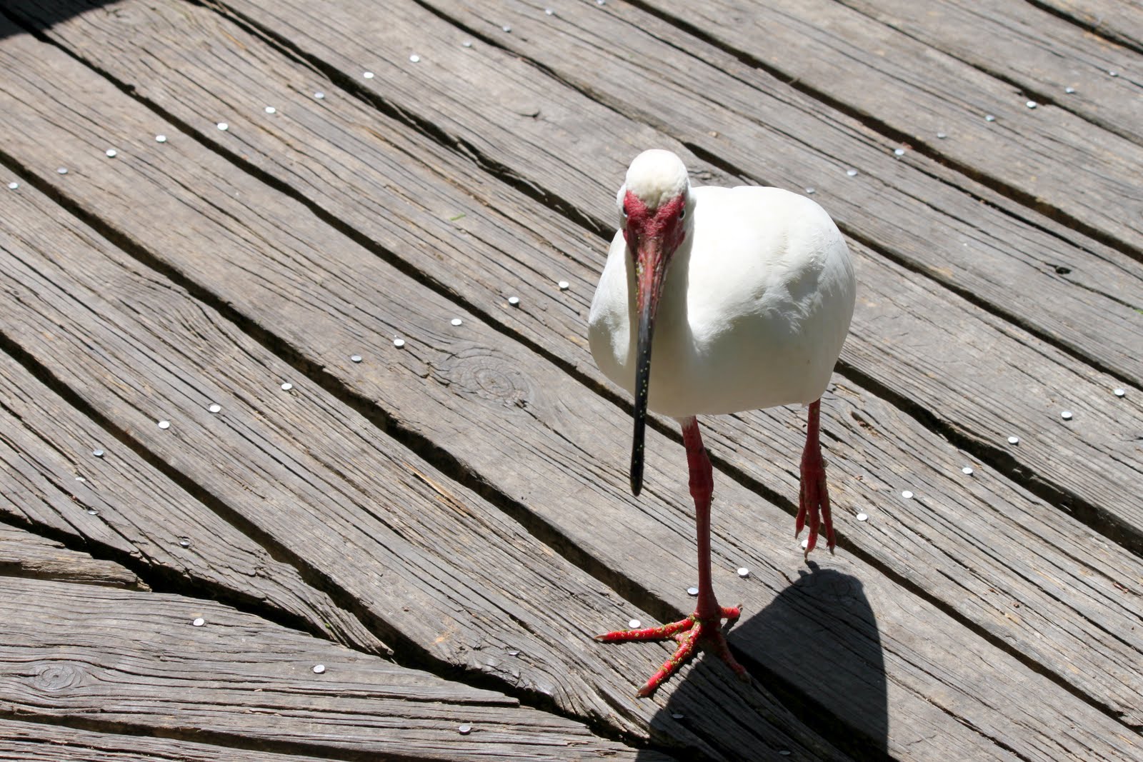 The Robertson Family: New Orleans Zoo