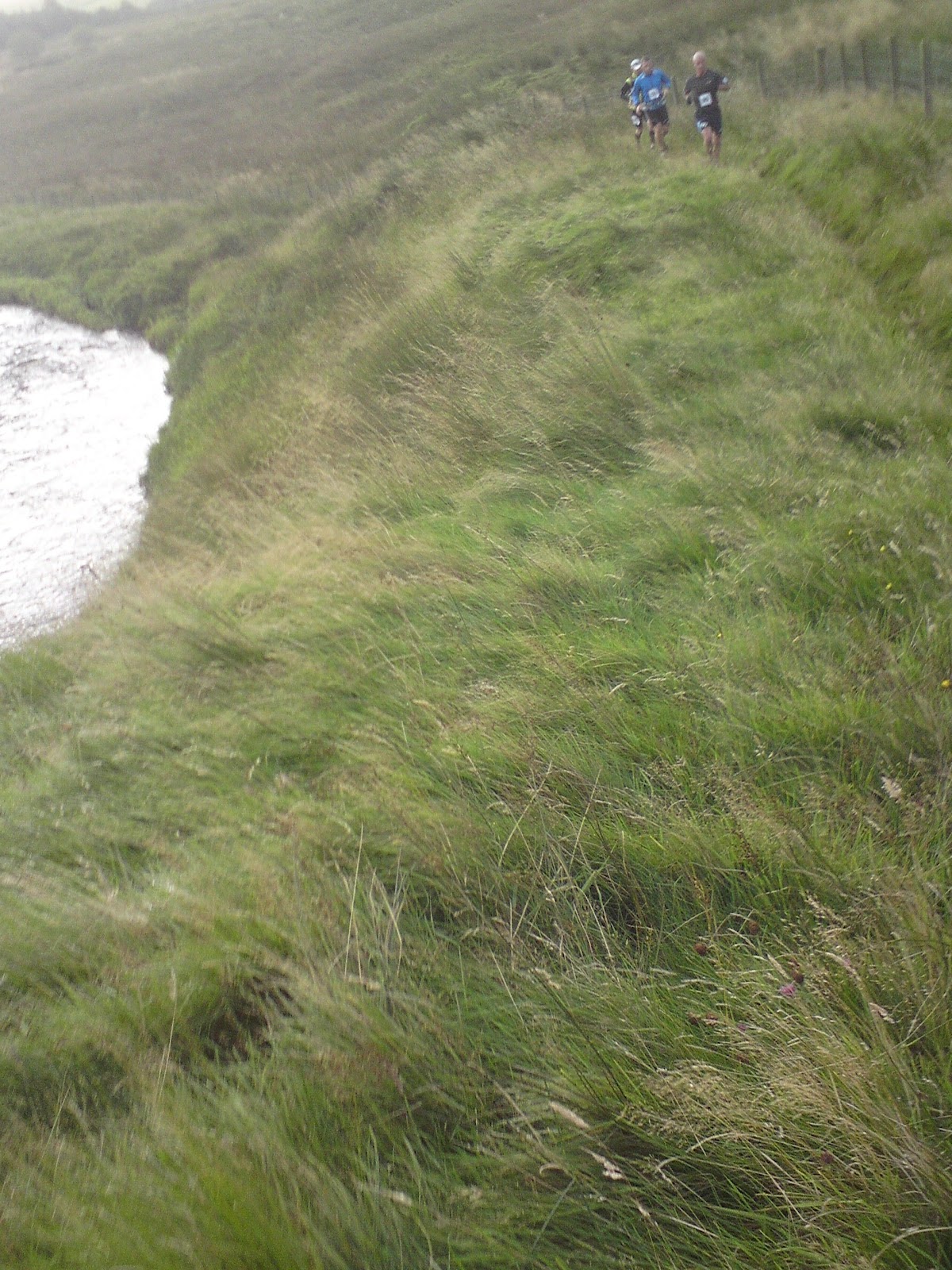 Cotswold Running: The River Ayr Way Challenge 2012 - some like it RAW