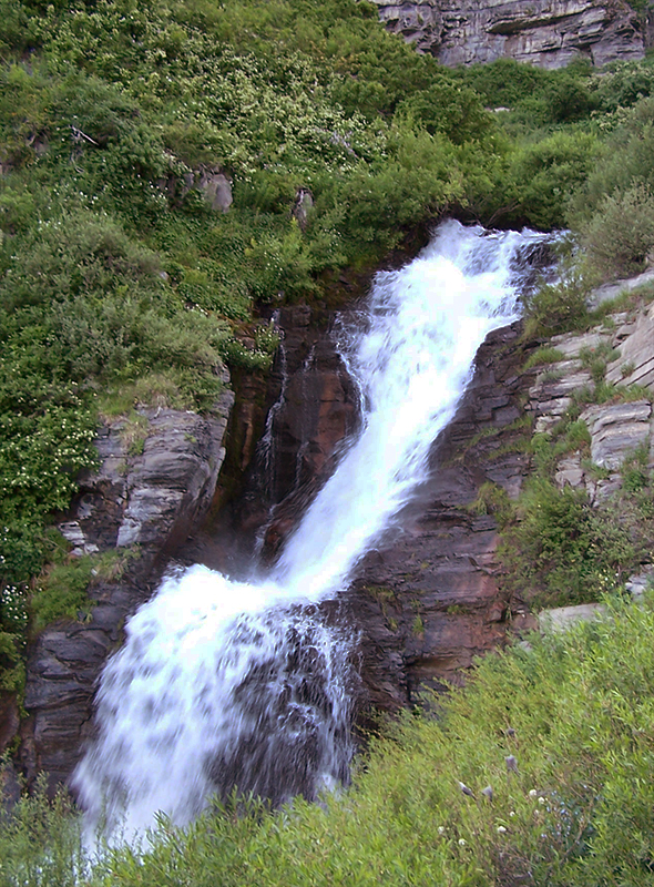 Trails Trekker: Aspen Grove Mt. Timpanogos Trail to Waterfall