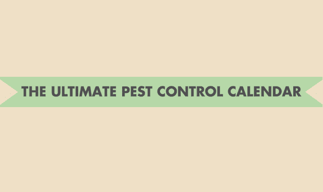 The Ultimate Pest Control Calendar #infographic - Visualistan