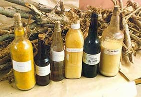 Natural & Bela: Garrafadas com ervas medicinais