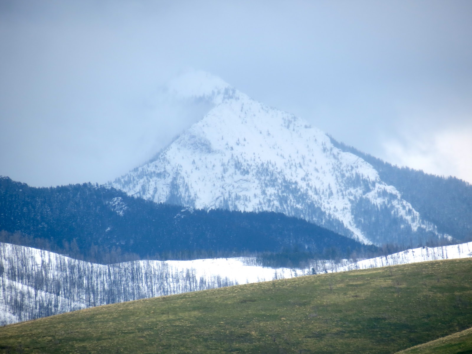 Where's Liz-2012?: Big Timber, Montana