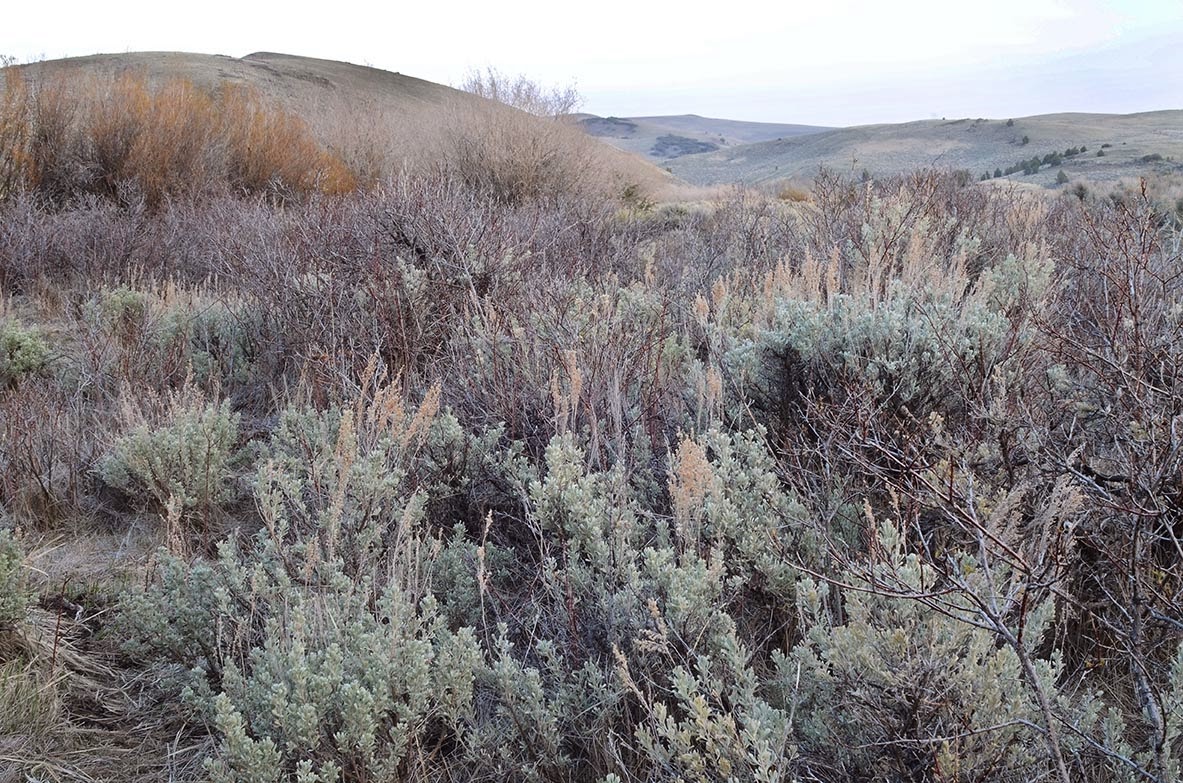 Shane Minton photography