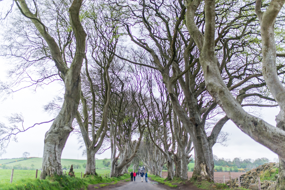 Seven Nights in Ireland with Air Transat | La Petite Noob | A Toronto ...