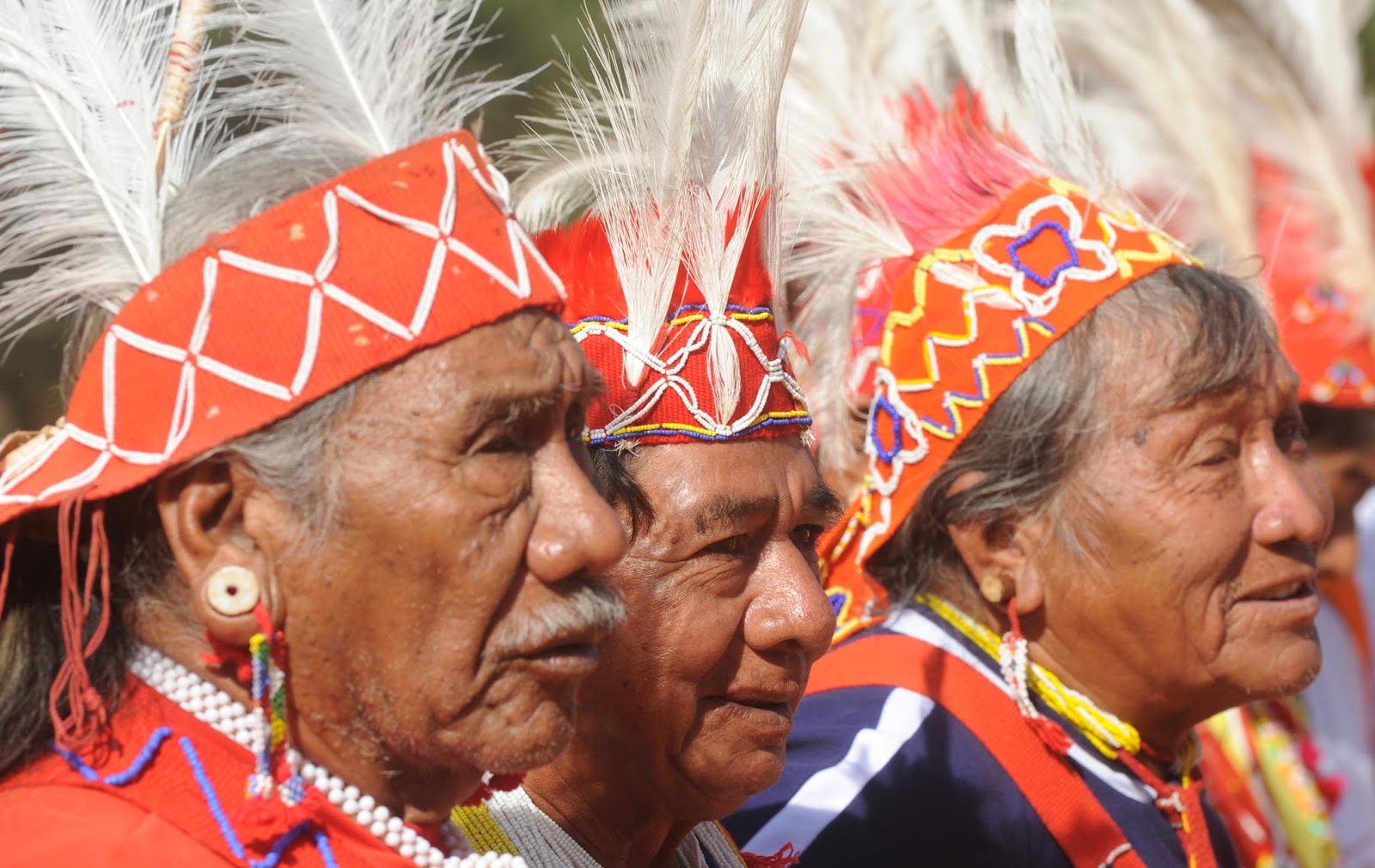 Apuntes profesionales, de Carlos Alberto SANTOSTEFANO: DÍA del ABORIGEN ...