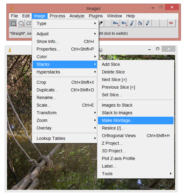 My imageJ: Stacks, Virtual Stacks and Hyperstacks