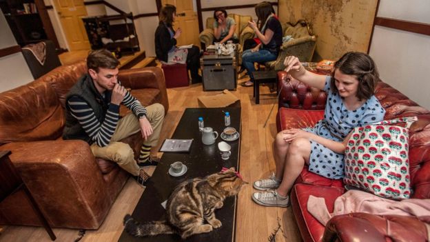 Are Cat Cafes Good For Cats are-cat-cafes-good-for-cats