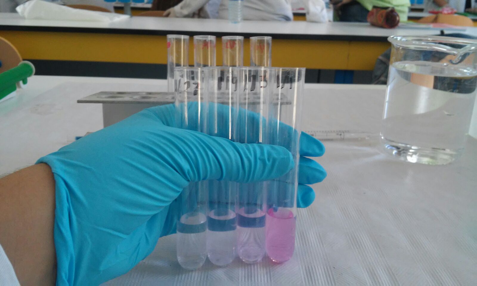 Prácticas Bioquímica: Construcción de una curva de calibración