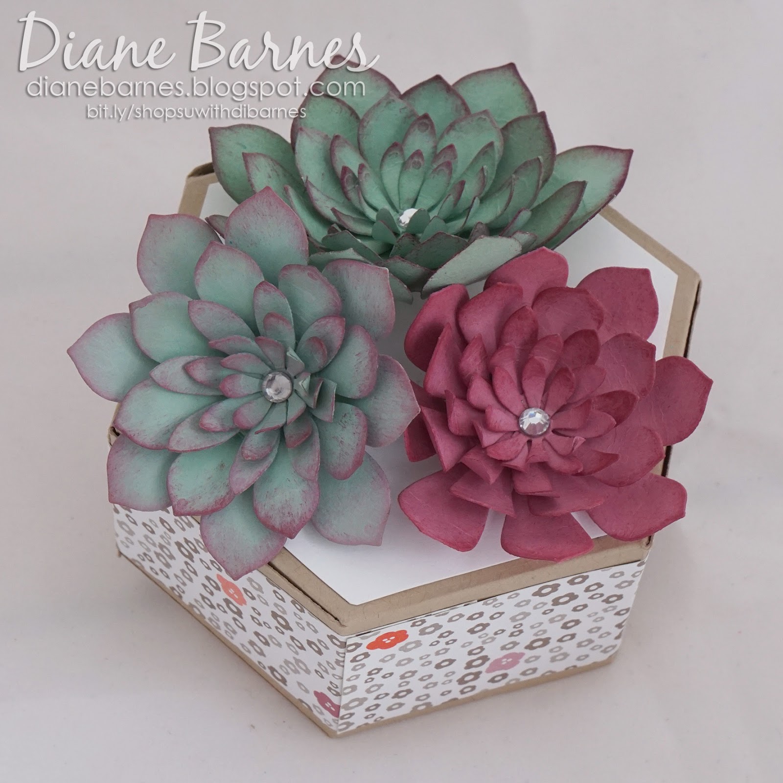 colour me happy: Oh So Succulent window box card & hexagon box