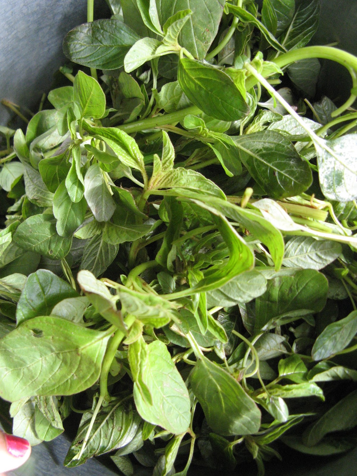 KENYAN MUKIMO AND NDENGU