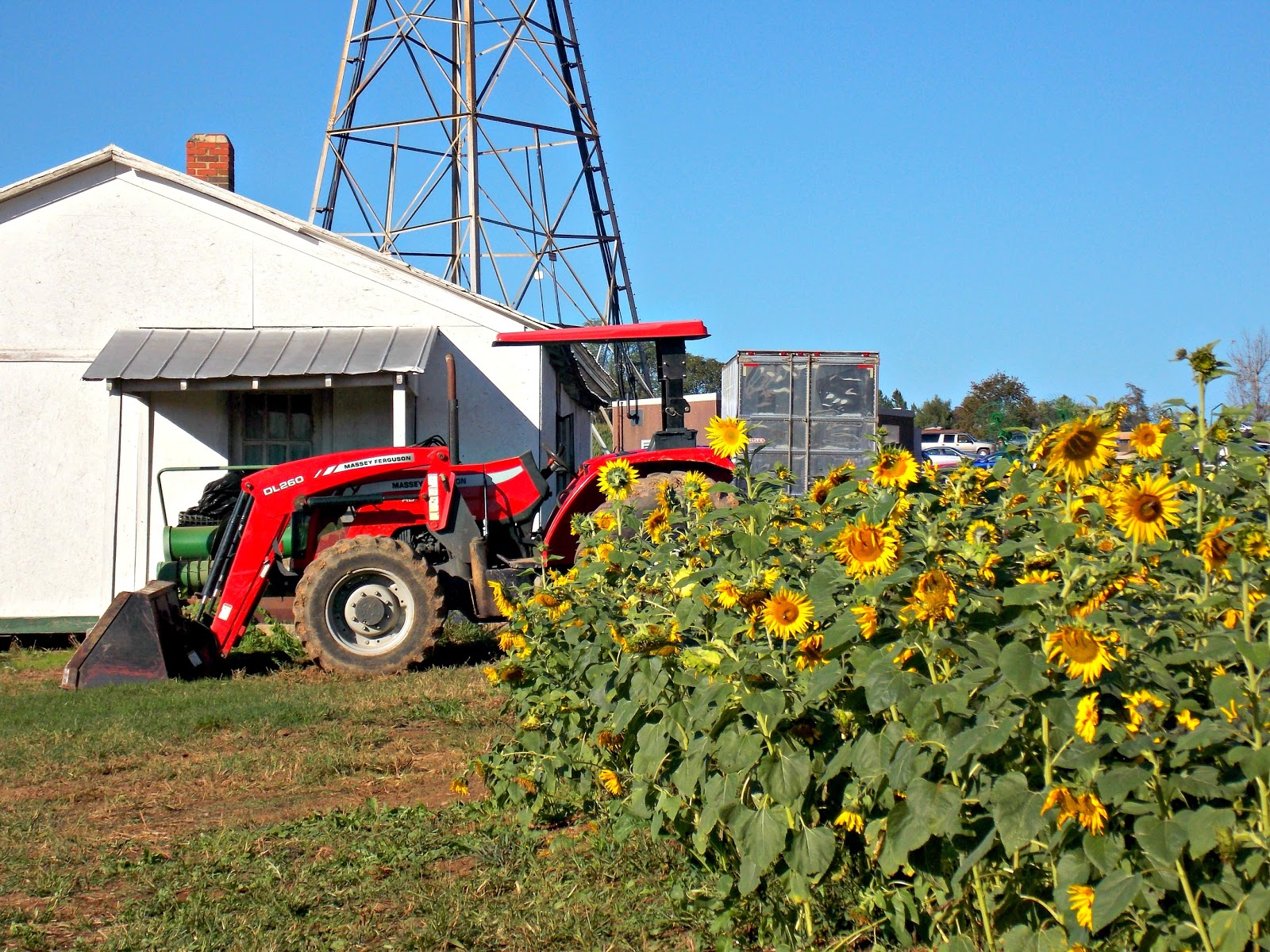 Around Roanoke, VA (A Daily Photo Blog): Through My Lens - Sights From ...