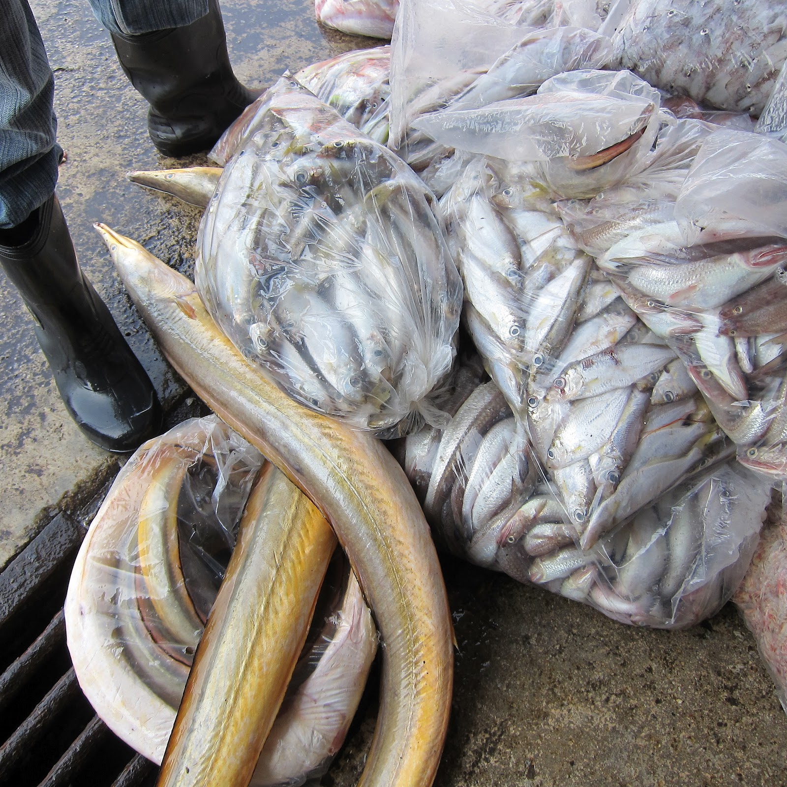 Where to Buy Fish in Pontian? Get Restaurant to Cook for You on the ...