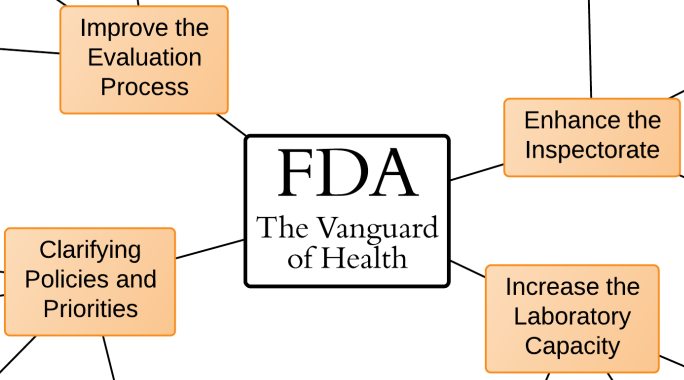 Government and Taxes: FDA 6: Business and Modernization Plan