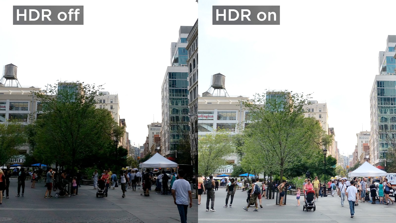 Canon EOS R and RP (2018) - Canon cameras