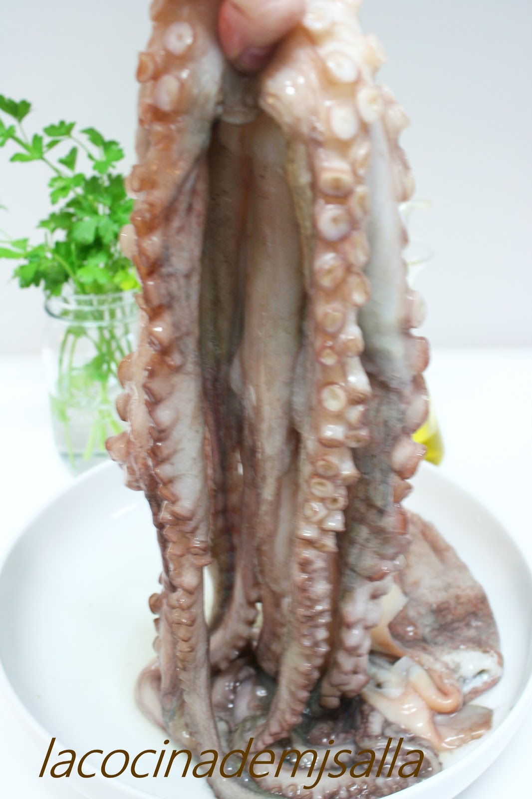 PULPO COCIDO AL ESTILO GALLEGO.