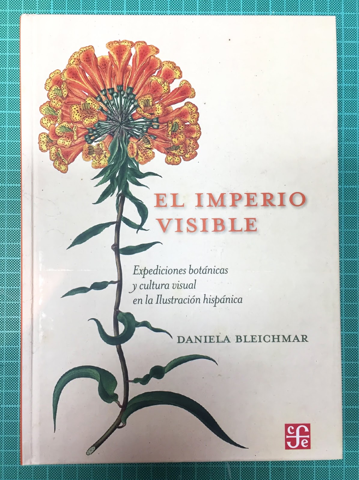 Libros que no pueden faltar en tu Biblioteca nº2 | GMK