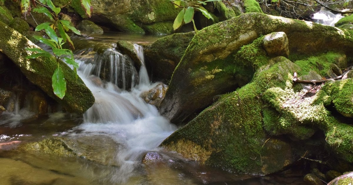 Waterfall Hero Hikes: Beech Mountain Waterfalls